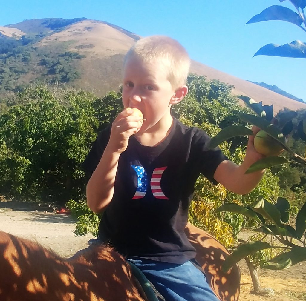 Cowboy Fruit Cobbler